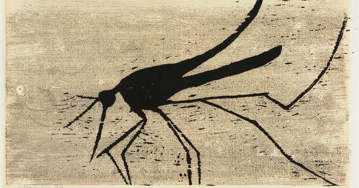 Insect | Museum van Bommel van Dam